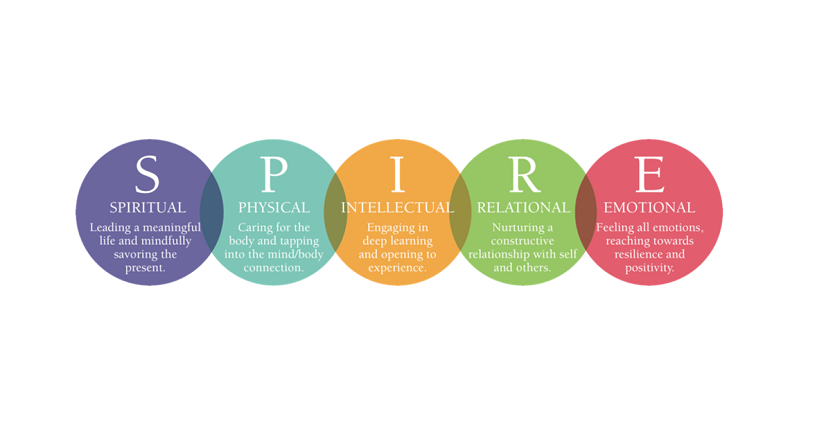 Prioritising happiness, interview with Tal Ben-Shahar » HAPPINESS FOR ...